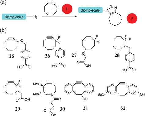 Cyclic Alkyne Molecule