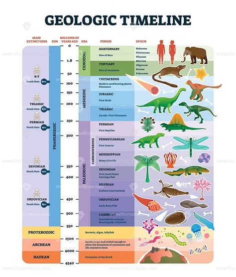 Geologic Timeline Scale Vector Illustration Era Geologica Feliz Cumpleaños Amor Carta Origen