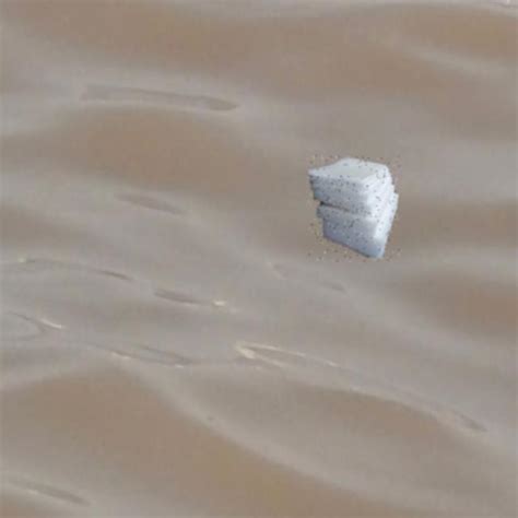 trash detection object detection dataset v3 2023 02 08 9 12pm by zaid