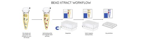 Automated Cfdna Bead Extraction Kit Nonacus