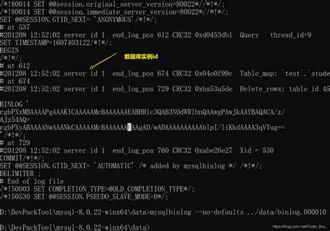 数据库系列—mysql 的二进制日志恢复数据库数据show Master Logs Csdn博客
