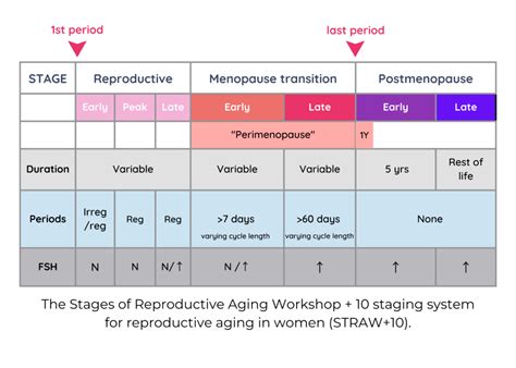 Reproductive Stages Viv Health