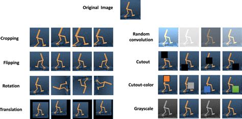 The Augmentation Transformation Methods We Investigated Cropping Download Scientific Diagram
