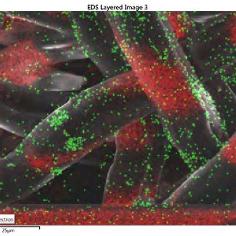 Dbd Plasma Reactor With Parallel Electrode Alignment A Powered