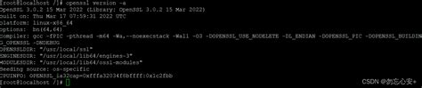 cve 2022 0778严重漏洞解决方案 勿忘心安 的博客 csdn博客
