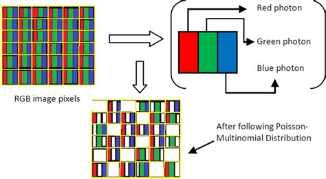 Schematic Diagram Of Poisson Multinomial Distribution Based Download Scientific Diagram