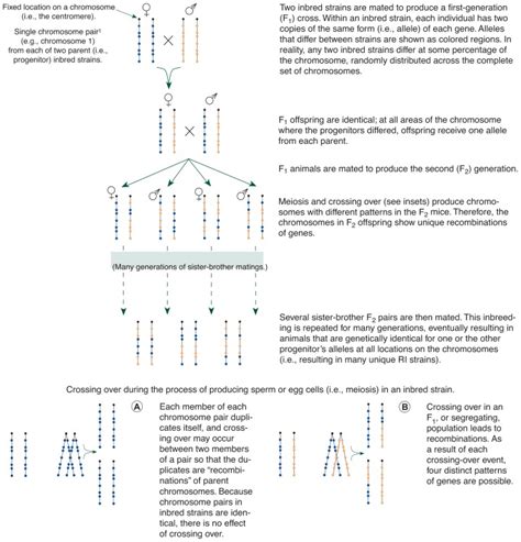 Quantitative Trait Loci Mapping Pmc