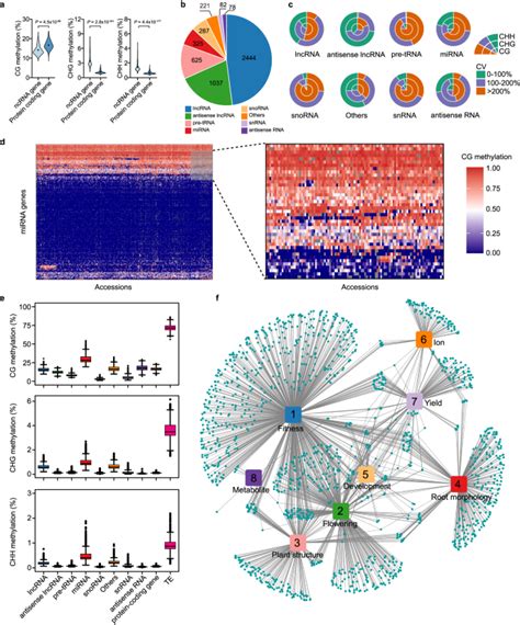 非编码rna基因的表观等位变异及其表型后果 Nature Communications X Mol