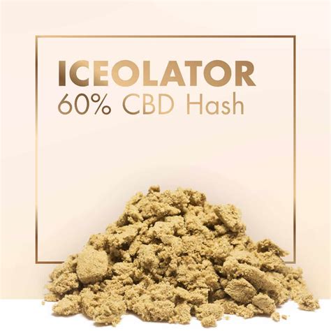Bubble Hash What It Is And How It Is Done Cannactiva