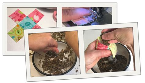 Grow Dry Prepare Catnip For Yourself Your Cat Hobby Farms