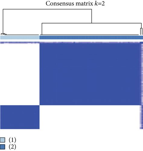 Characterization Of Two Emt Molecular Subtypes Across Osteosarcoma