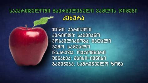 აგრო რჩევები ვაშლის სარგებელი Youtube