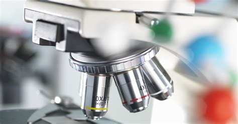 In Vitro Safety And Efficacy Testing Sgs