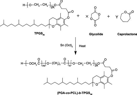 Schematic Depiction Of The Synthesis Of Copolymer Download Scientific Diagram