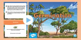 What Is Germination What Things Does A Seed Need To Grow