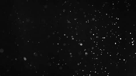 Quantum Monte Carlo American Love Affair