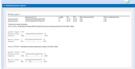 How To Determine Lp Rp Primers Is Specific For T Dna Insertion Verification Researchgate