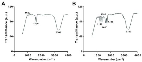Characterization Of Go And Go Ptnps By Fourier Transform Infrared Download Scientific Diagram
