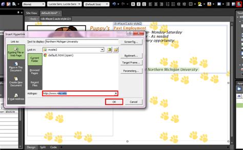 Microsoft Expression Technology Support Services