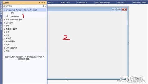 Net Webview2 项目，实现 嵌入 Web 页面 Chromium内核