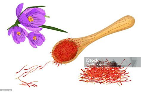 사프란은 흰색 배경에 고립 설정 나무 숟가락과 크로커스 꽃에 말린 향신료 사프란 스레드 사프란에 대한 스톡 벡터 아트 및 기타