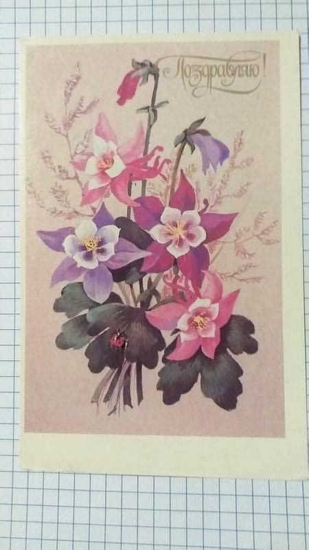 Листівка 1986 вінтаж — ціна 5 грн у каталозі Листівки і конверти Купити товари для дому та