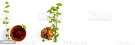 자작나무 차가 버섯 과 분쇄 된 차가 곰팡이 조각 한 잔은 흰색 배경에 고립 된 차를 양조합니다 배너 텍스트 공간 0명에 대한 스톡 사진 및 기타 이미지 Istock