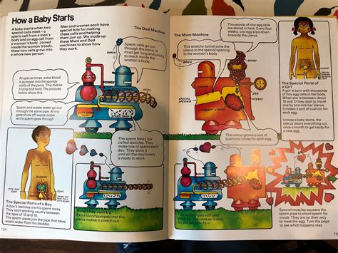 A Page From My Friends Third Grade Babes Science Text Book Pertaining To Sexual Education