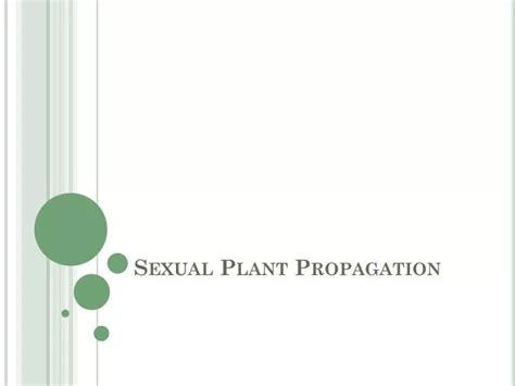 PPT Sexual Plant Propagation PowerPoint Presentation Free Download ID