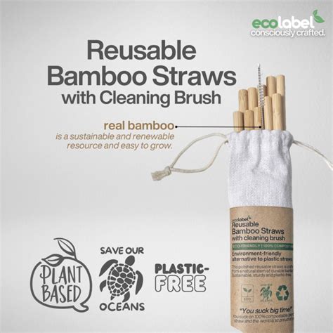 Eco Friendly Reusable Bamboo Straw 10pcs With Cleaning Brush 100