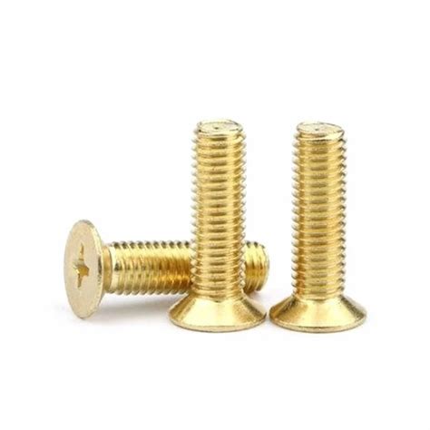 Ss Ms Canco Brass Socket Csk Screw Diameter M5 At ₹ 2piece In New Delhi