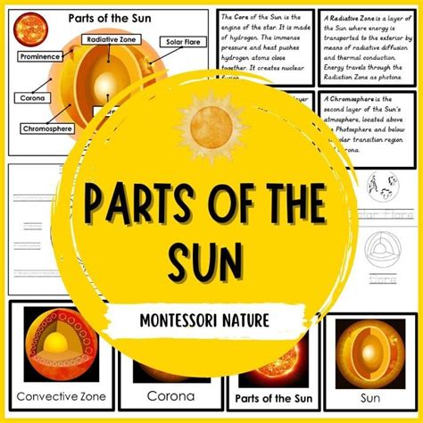 Montessori First Great Lesson History Of The Universe Activities