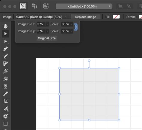 Affinity Designer How To Decrease The Image Size By A Particular
