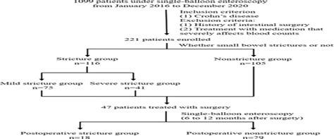 Single Balloon Enteroscopy For Evaluation Of Small Bowel Cro