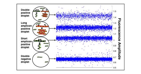 high sensitivity detection and quantitation of dna copy 57 off