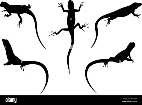 Lizard Silhouette Vector