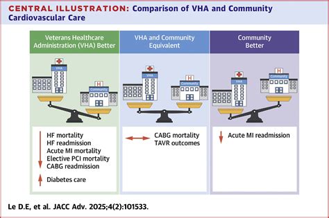 Does The VHA Offer Better Quality Of Care To Veterans Than Community
