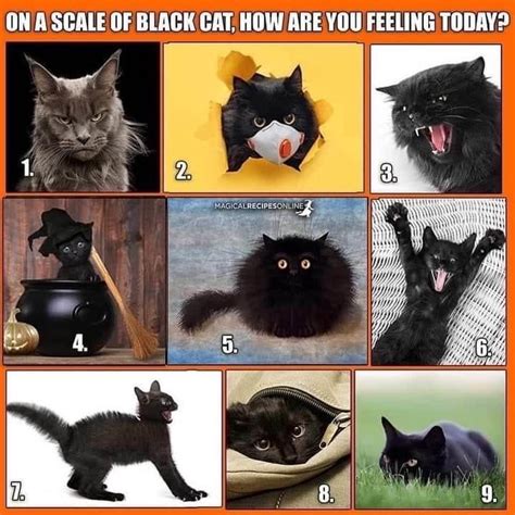 160 Mood Scale Memes Ideas In 2025 How Are You Feeling Feelings