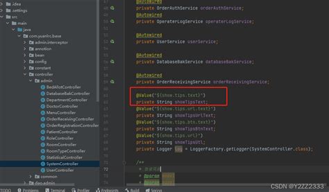 Springboot Could Not Resolve Placeholder In Value Maven Y Zz Gitcode