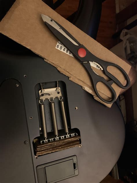 Custom Trem Block R Guitarporn