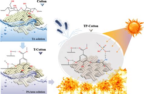 The Preparation Strategy Of Multifunctional Protective Cotton Download Scientific Diagram