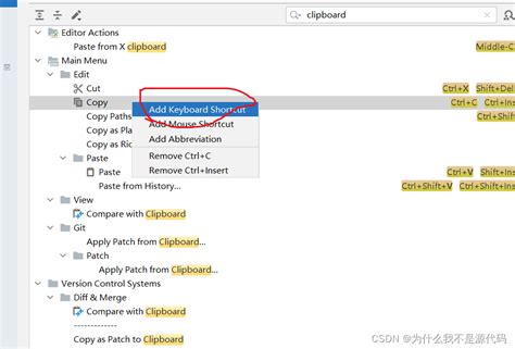 Idea复制粘贴失效的问题idea复制粘贴整段代码不起作用 Csdn博客