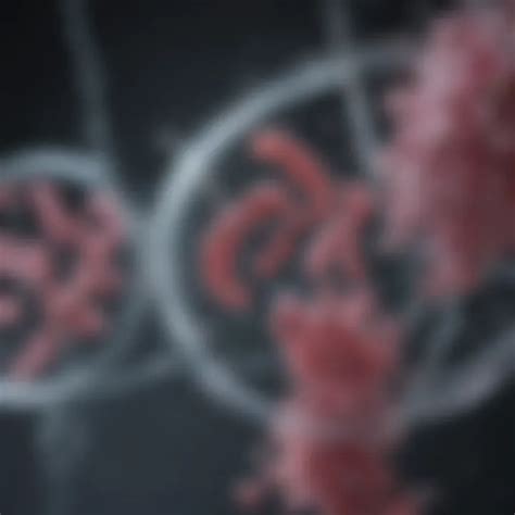 Exploring E Coli Codon Usage Patterns And Impacts