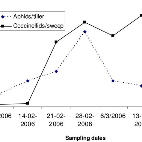 Synchronization Between Prey Aphid Species And Coccinellid Predator Download Scientific