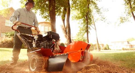 Casey Tree Removal Melbourne S Best Emergency Tree Services Near Me