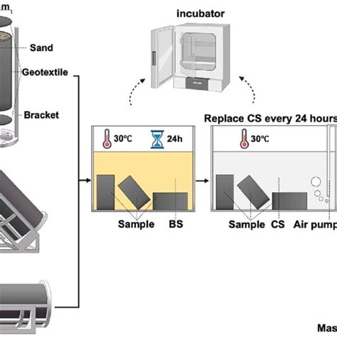 Micp Treatment Processes Download Scientific Diagram