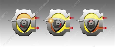 Wankel Engine Principle Artwork Stock Image C016 4349 Science Photo Library