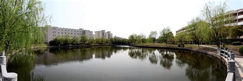 宋莉华