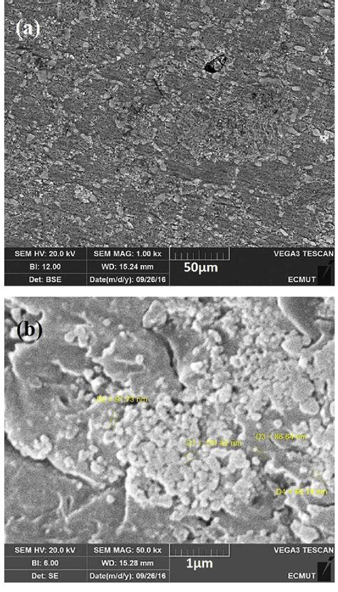 Sem And Fe Sem Micrographs Of Sample No 5 A Sem And B Fe Sem Micrographs Download Scientific