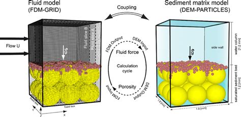 Sketch Of The Coupled Sediment Matrix Model Dem Discrete Element Download Scientific Diagram